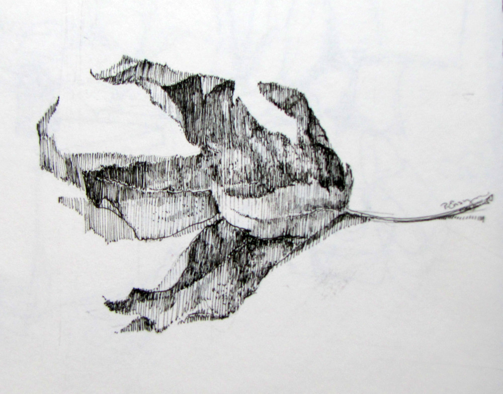 It’s InkTober! – Love to Draw