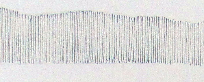 Using a Ruler – Love to Draw