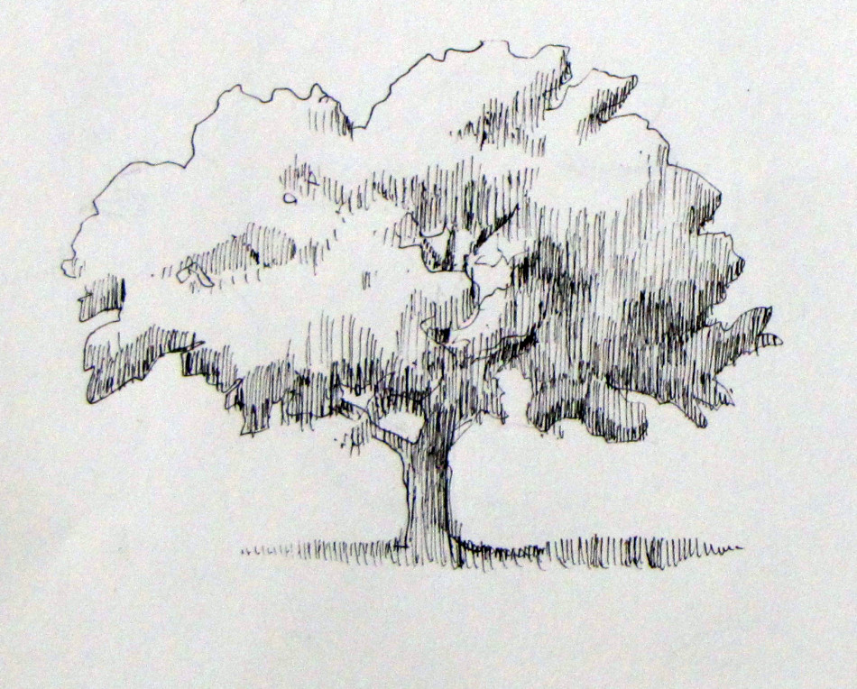 The Secret to Drawing Trees – Love to Draw