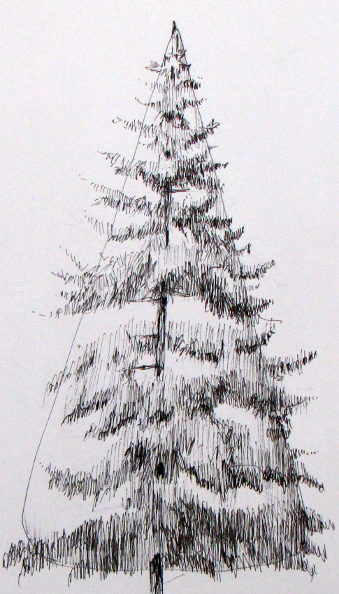 More about Drawing Trees – Love to Draw