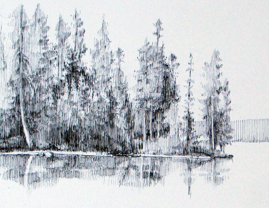 Seeing the Forest Not the Trees – Love to Draw