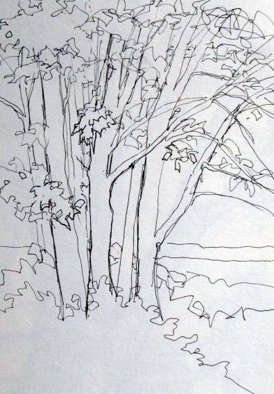Close Up Views – Love to Draw
