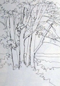 Close Up Views – Love to Draw