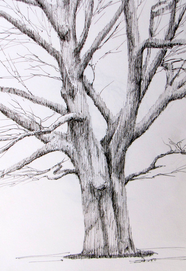 Close Up Views – Love to Draw